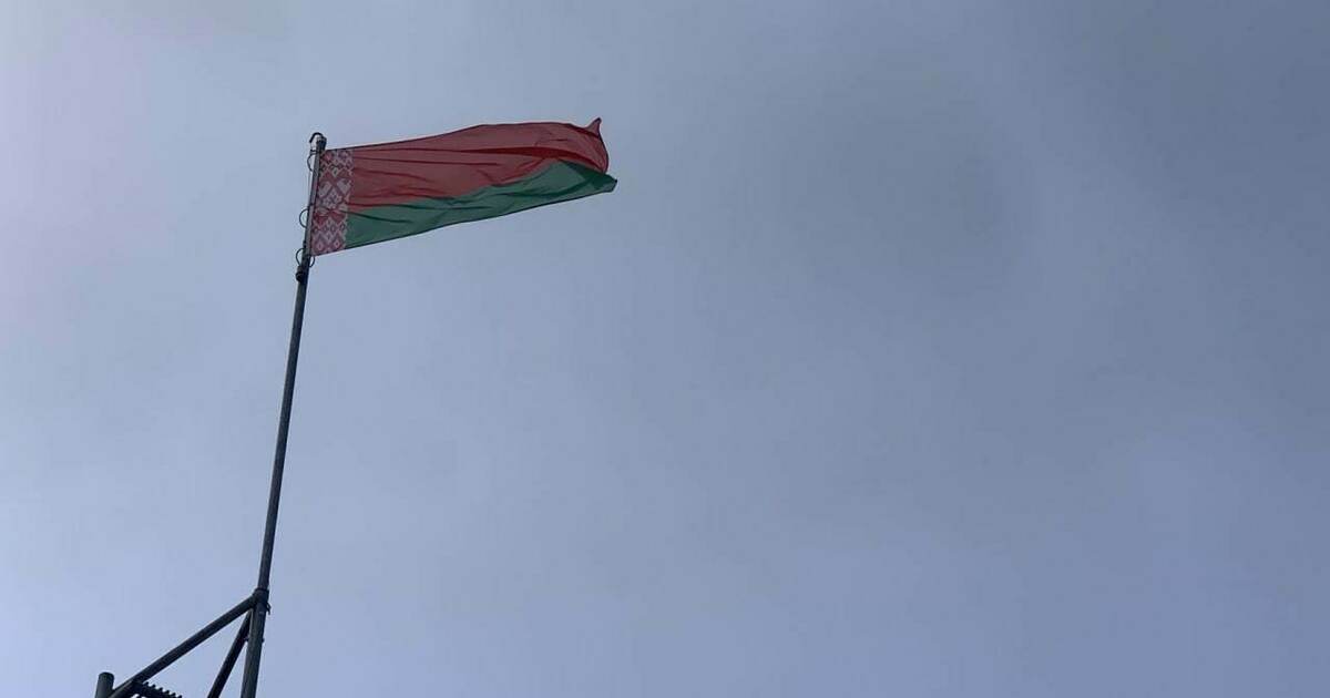 В Белоруссии помиловали бывшего главреда NEXTA Романа Протасевича ...