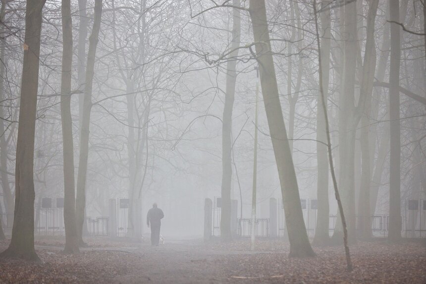 Фото дня прогулка в утренней калининградской мгле Новости Калининграда